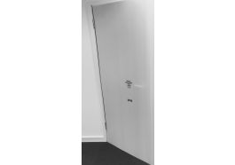 Door Size Proguard Correx Protection Board| Custom Printing Available